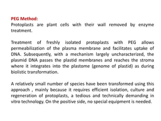 chloroplast transformation.pptx