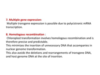 chloroplast transformation.pptx