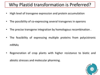 Chloroplast Transformation by Dr Swaati Sharma.pptx