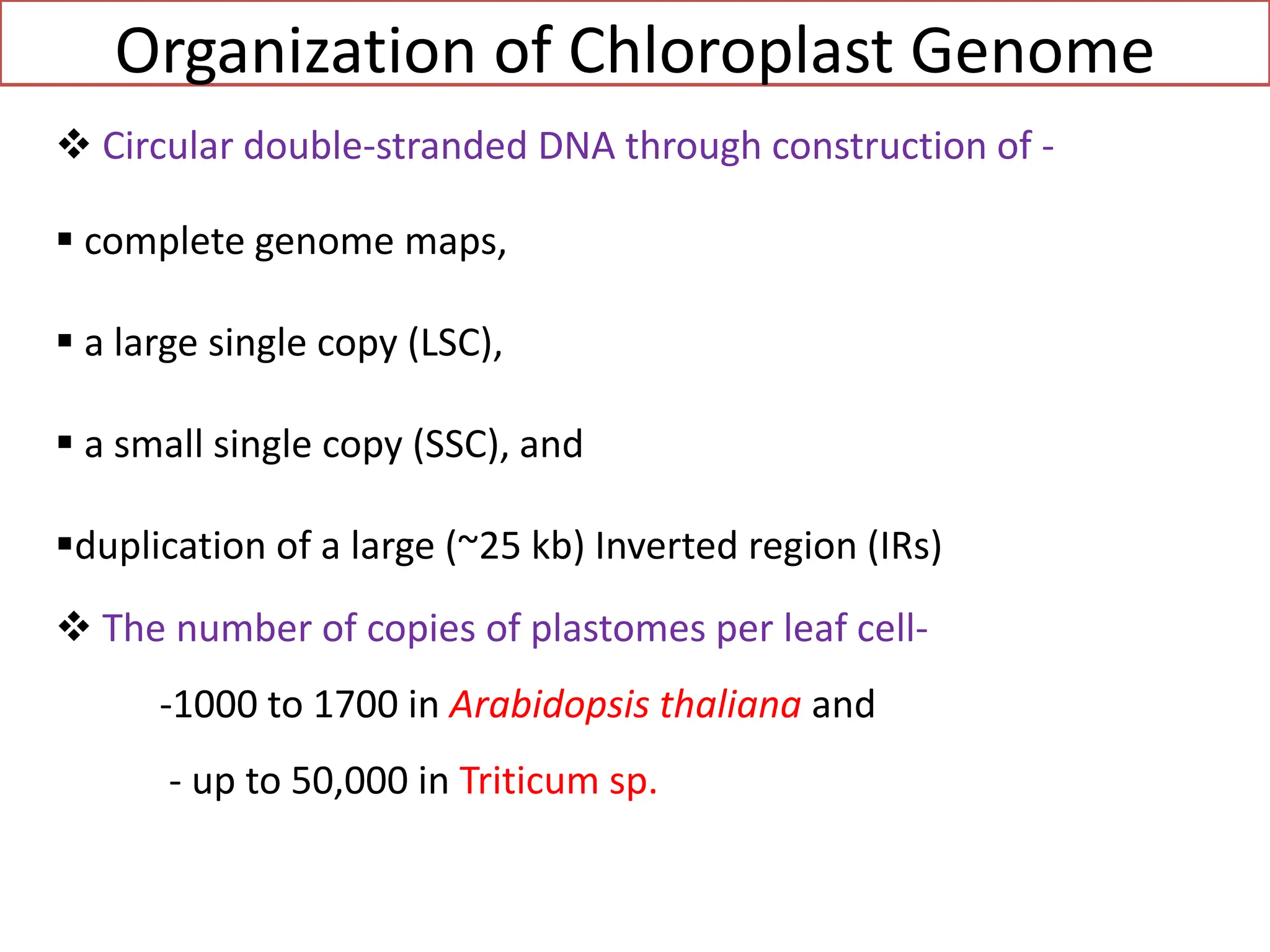 Chloroplast Transformation by Dr Swaati Sharma.pptx