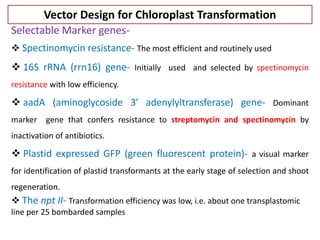 Chloroplast Transformation by Dr Swaati Sharma.pptx
