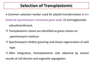Chloroplast Transformation by Dr Swaati Sharma.pptx