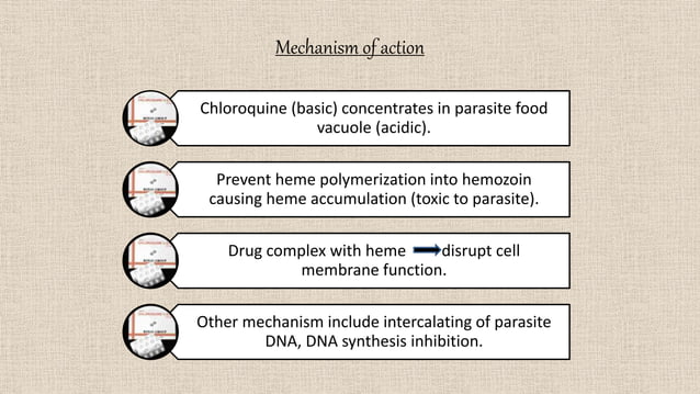 Chloroquine | PPTX | Infectious Diseases | Diseases and Conditions