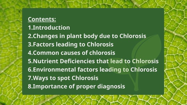 Presentation on Plant Disease Chlorosis.pptx
