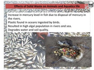 Effect Of Hazards Waste In The Environment by reja | PPTX