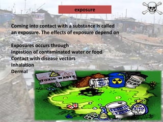 Effect Of Hazards Waste In The Environment by reja | PPTX