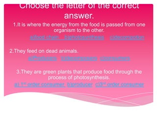 Chmsc lab. school science 6 food chain | PPTX | Reptiles | Pets
