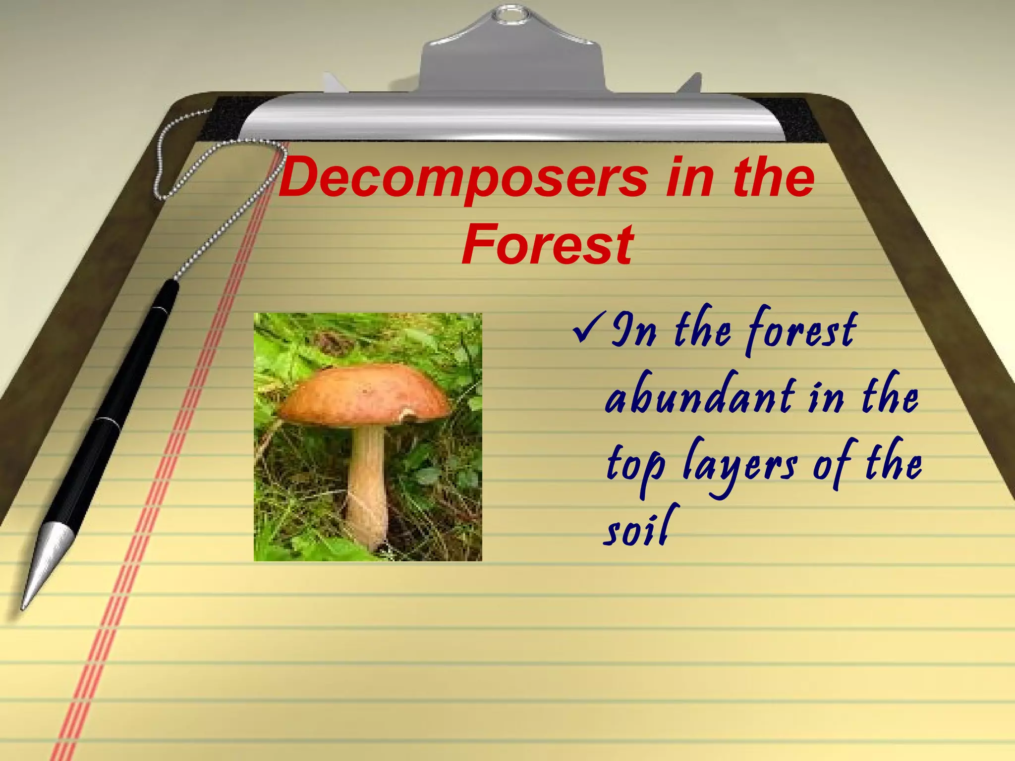 Chmsc lab. school science 6(decomposer) | PPT