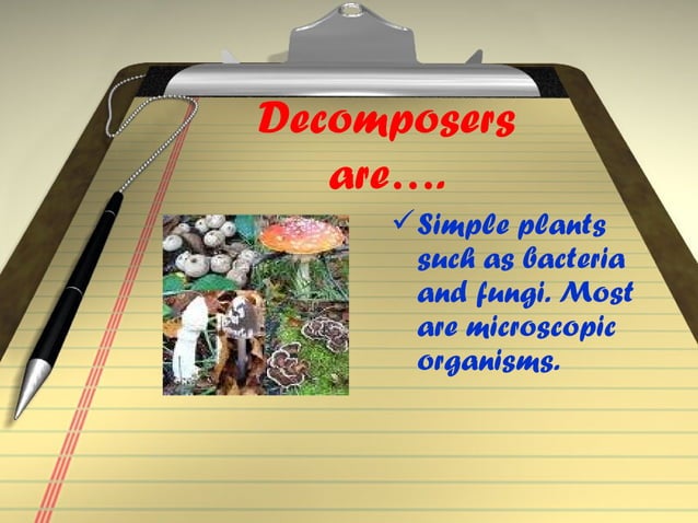 Chmsc lab. school science 6(decomposer) | PPT