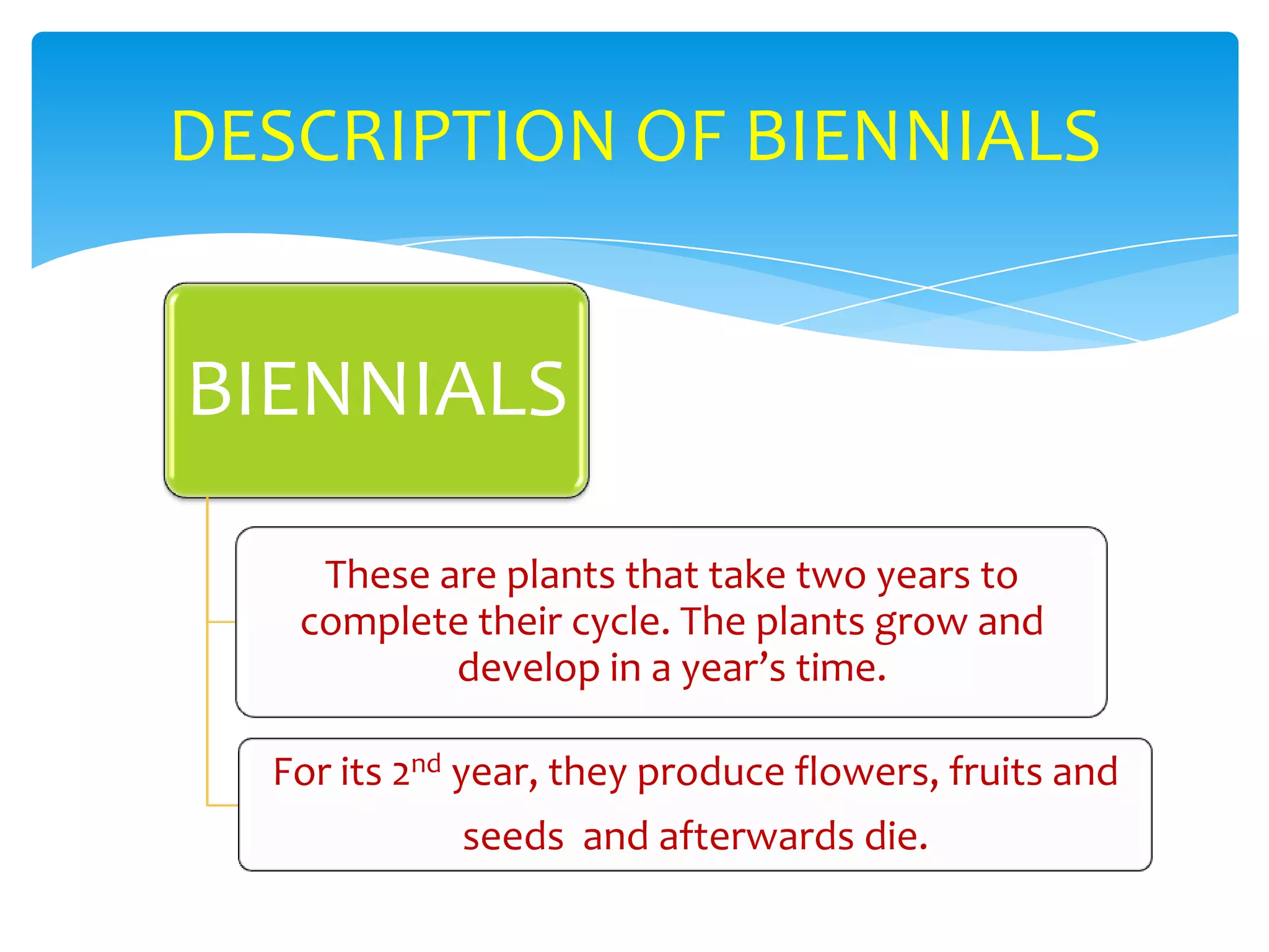 Chmsc lab school science project classification of plants | PPTX