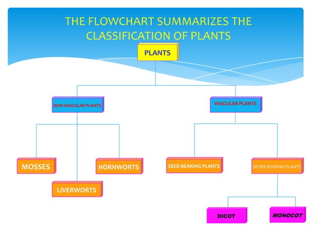 Chmsc lab school science project classification of plants | PPTX