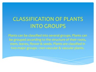 Chmsc lab school science project classification of plants | PPTX
