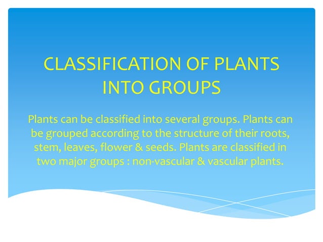 Chmsc lab school science project classification of plants | PPTX