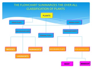 Chmsc lab school science project classification of plants | PPTX