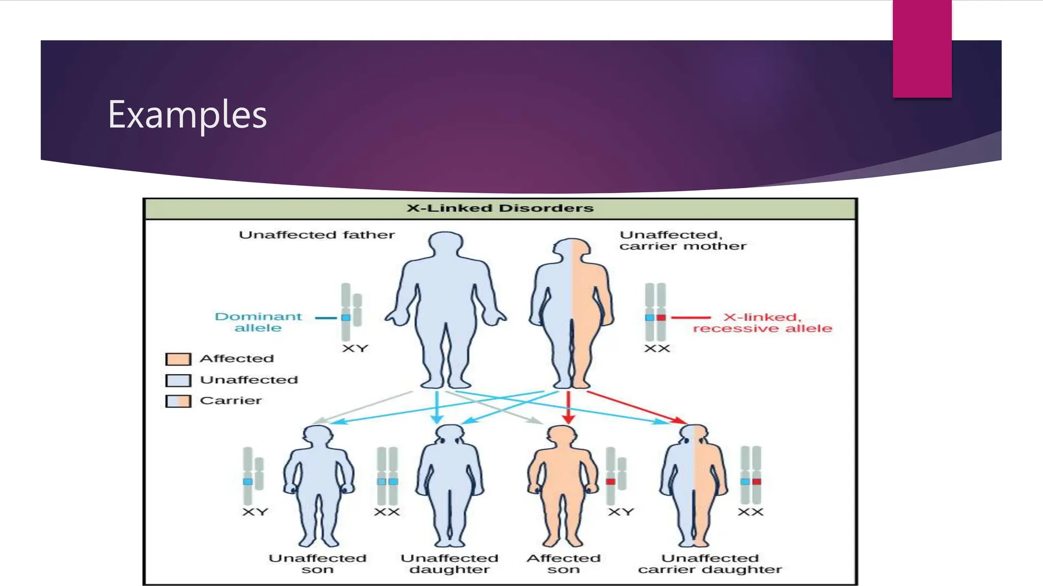 ROLE OF NURSE IN GENETIC COUNSELLING - CHN | PPTX