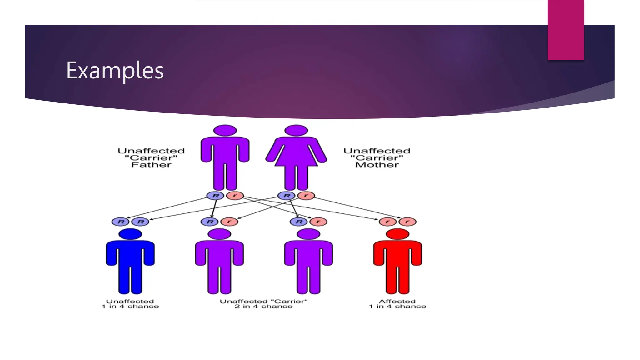 ROLE OF NURSE IN GENETIC COUNSELLING - CHN | PPTX