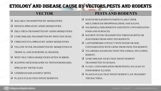 VECTOR BORNE DISEASE power point ... | PPT