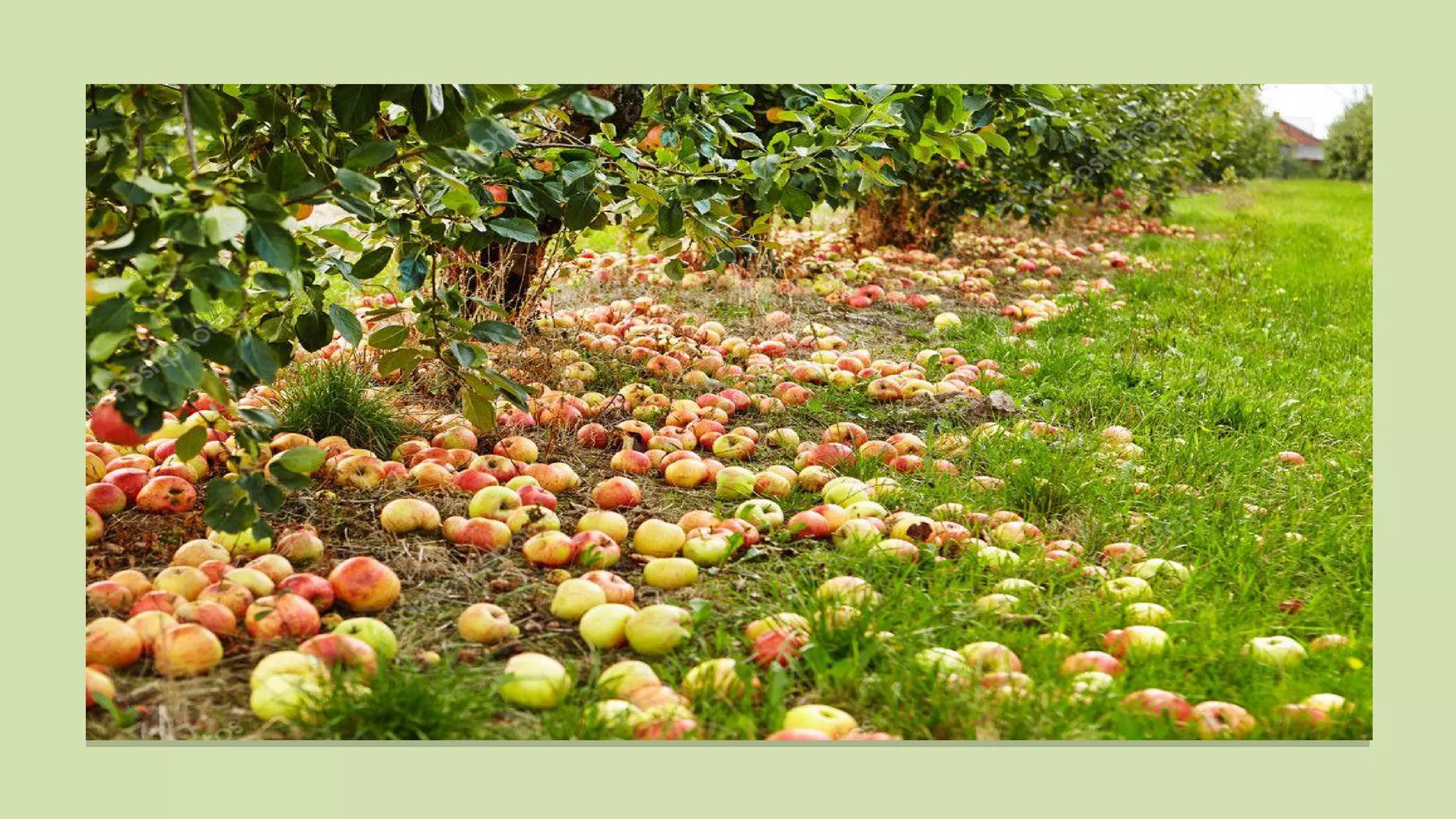 Chương 1 Đối tượng, phương pháp NC KTCT.pdf