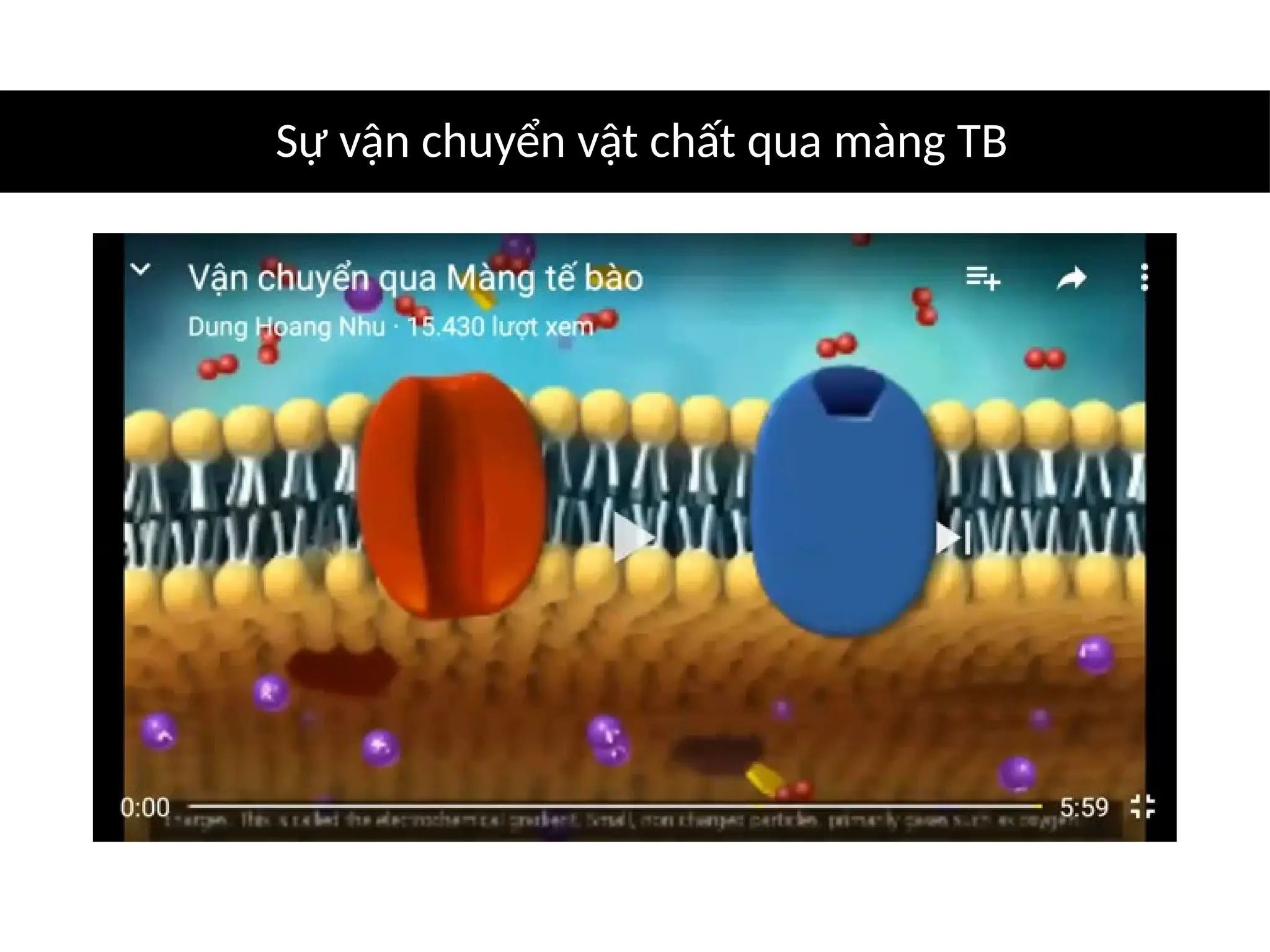 Chương 2. Cấu trúc của tế bào.dddddddddddd | PPTX