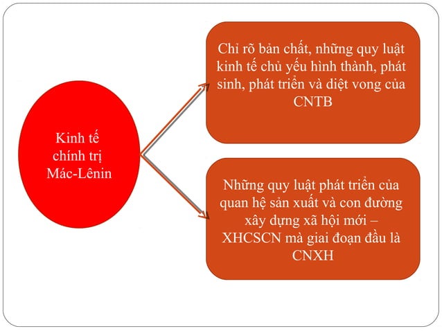 Chủ nghĩa mác – lênin, tư tưởng hồ chí minh – nền tảng tư tưởng, kim chỉ nam cho hành động cách ...
