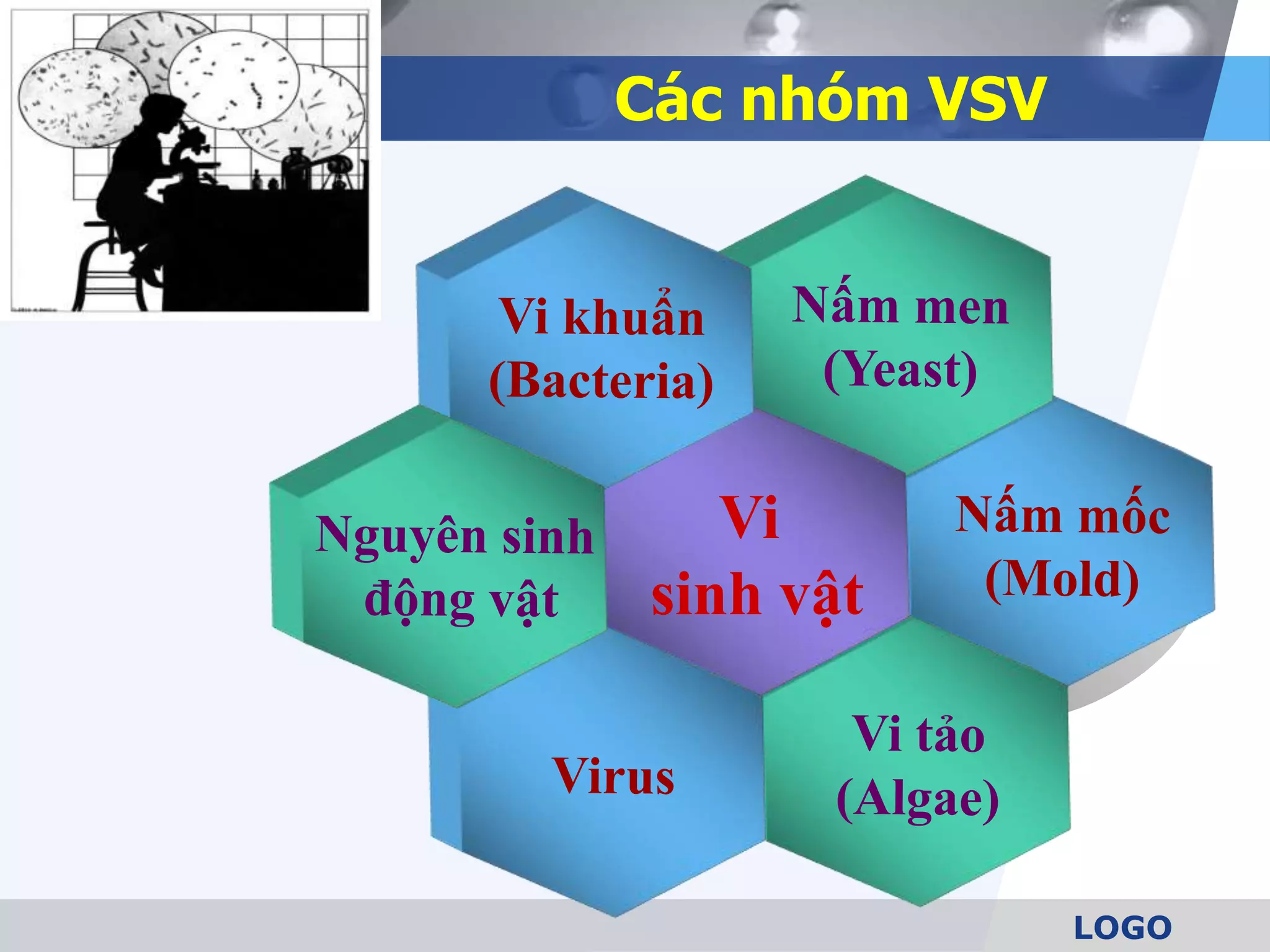 Chương mo dau (1).ppt