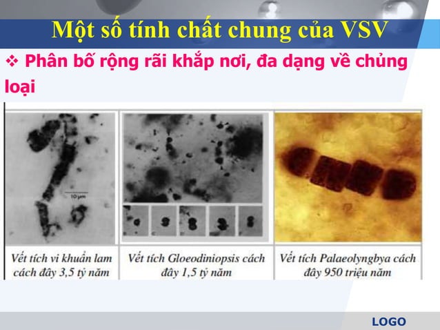Chương mo dau (1).ppt