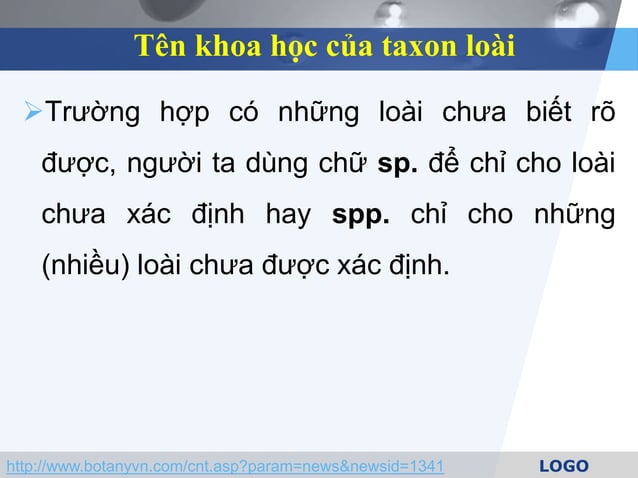 Chương mo dau (1).ppt