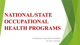 Occupational health programs by Fauzia.. | PPTX