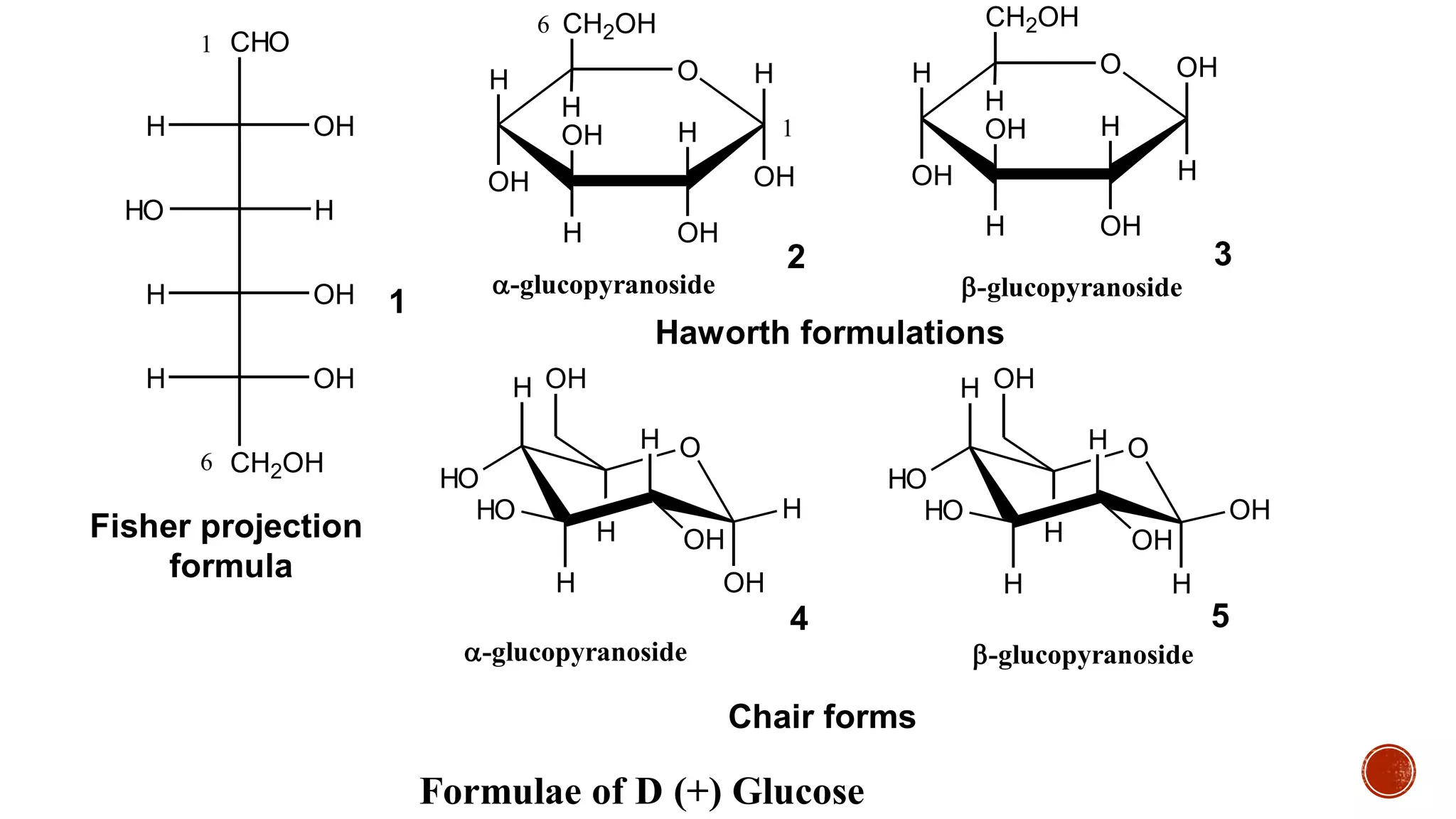 Carbohydrates (Introduction) | PPT