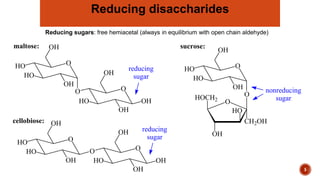 Carbohydrates-3 (Oligosaccharides) | PDF