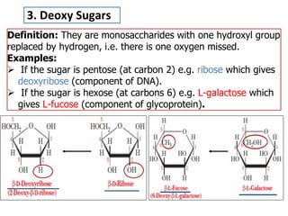 Carbohydrates biochemistry part one..pdf