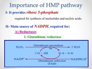 Carbohydrate Metabolism - Biochemistry | PPTX