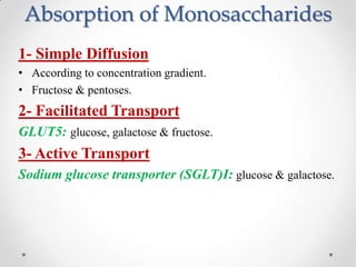 Carbohydrate Metabolism - Biochemistry | PPTX