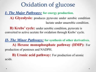Carbohydrate Metabolism - Biochemistry | PPTX