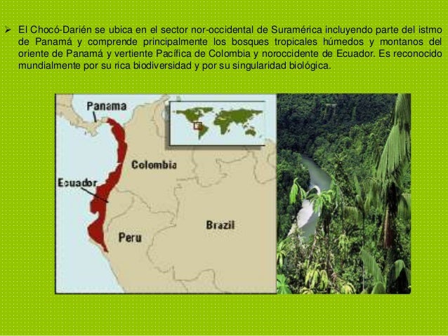 Chocó darién