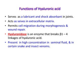 Heteropolysaccharides | PPTX | Chemistry | Science