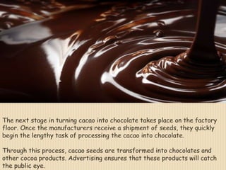 Chocolate | PPTX | Desserts and Baking | Food & Drink