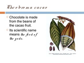 Chocolate Appreciation 101 | PPT