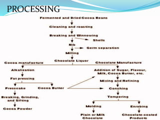 Chocolate & cocoa | PPTX