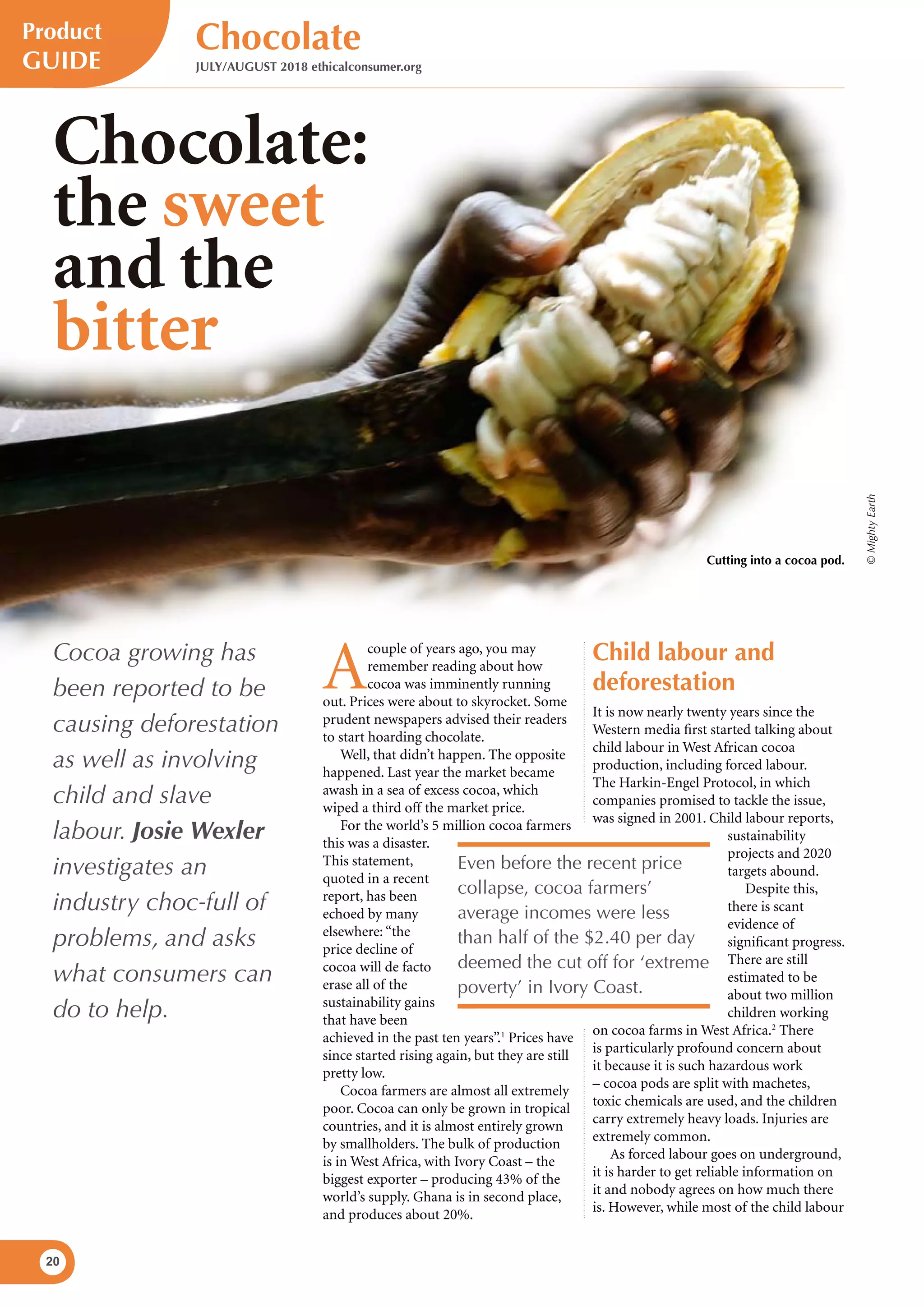 Ethical Chocolate guide | PDF