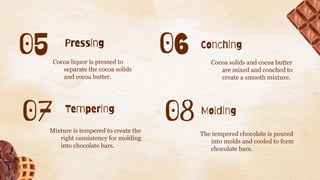 Chocolate supply chain-PPT.pptx