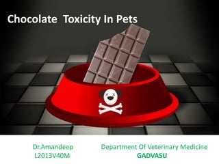Chocolate Toxicity Vets Now – Chocolate Poisoning Calculator – OMXGT