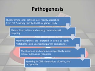 Chocolate toxicity in animals by Dr.Amandeep | PPTX