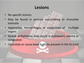 Chocolate toxicity in animals by Dr.Amandeep | PPTX