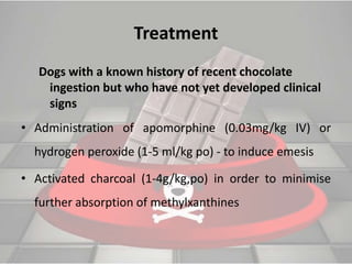 Chocolate toxicity in animals by Dr.Amandeep | PPTX