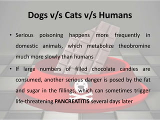 Chocolate toxicity in animals by Dr.Amandeep | PPTX