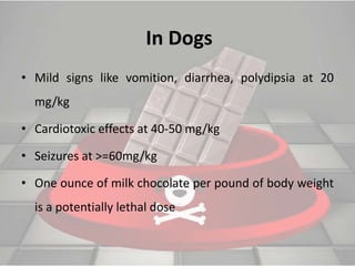 Chocolate toxicity in animals by Dr.Amandeep | PPTX