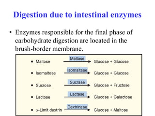 CHO Digestion.pptx assignment for first year | PPTX