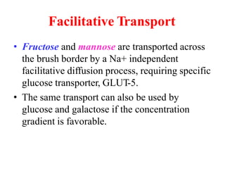 CHO Digestion.pptx assignment for first year | PPTX