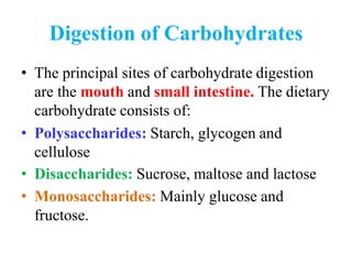 CHO Digestion.pptx assignment for first year | PPTX